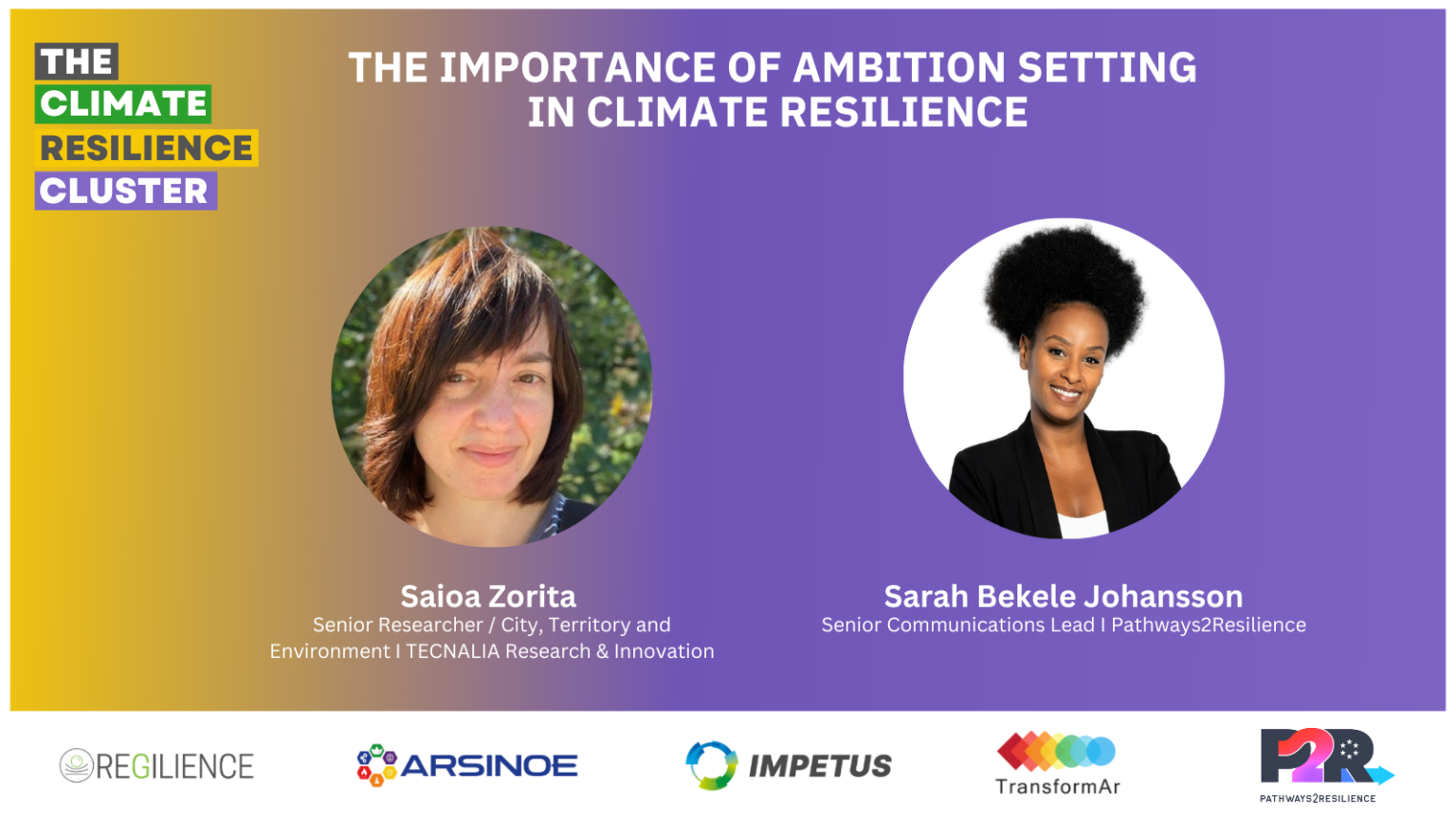 The importance of ambition setting in climate resilience - Regilience